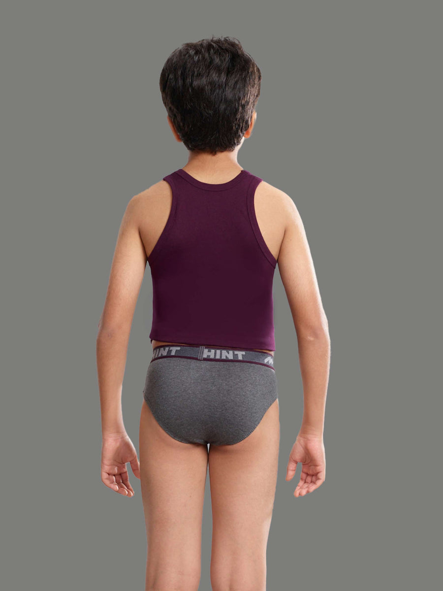 Buy Hint Metro Boy's Brief (Pack of 2) | Kids' Brief at Hint World
